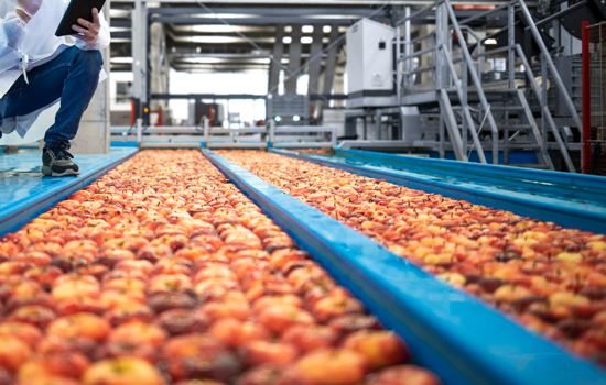 The Role of Metal Detectors In Food Safety - The Food Machinery Co.