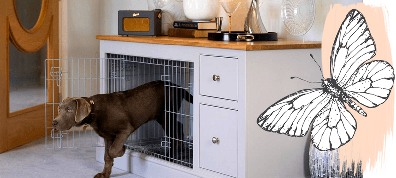How Bespoke Pet Furniture Can Maximise Style & Space In Your Home