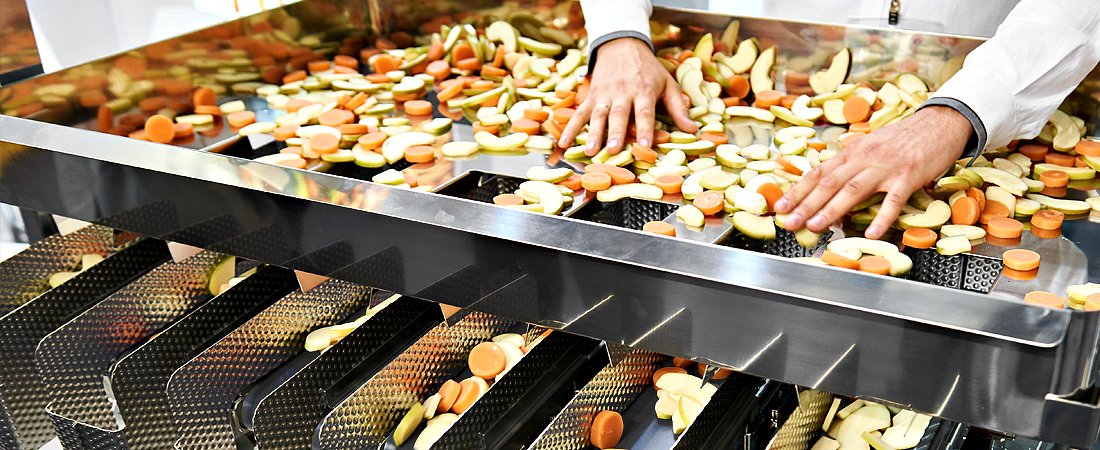 Guide to Commercial Vegetable Preparation Machinery