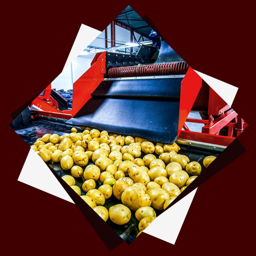 The Role Of Robots In Food Production & Processing | Food MC