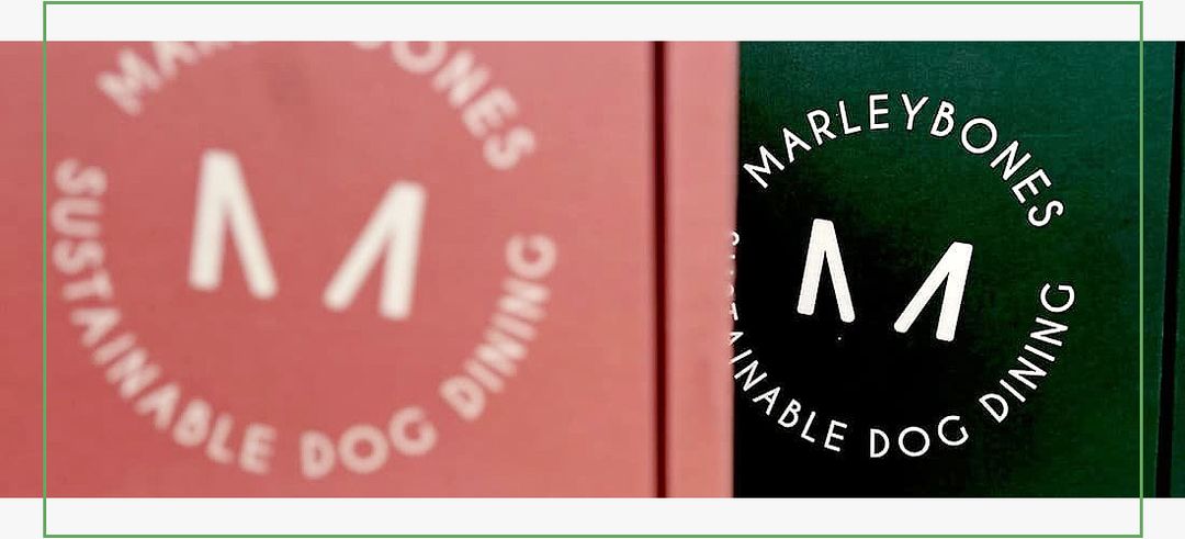 Corrugated Cardboard Packaging Grades Explained | Sarcina